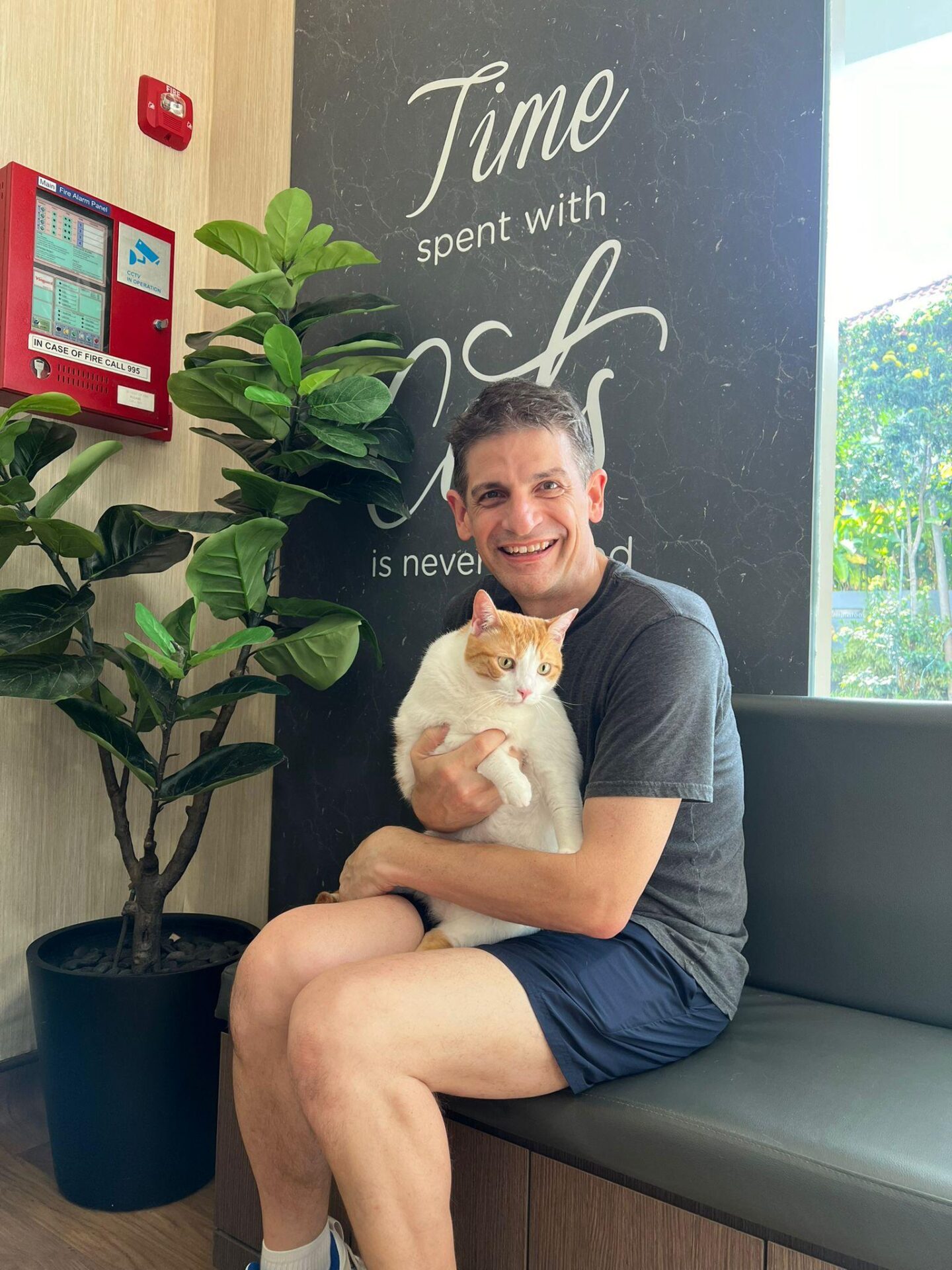 Cat Clinic - Amber Vet