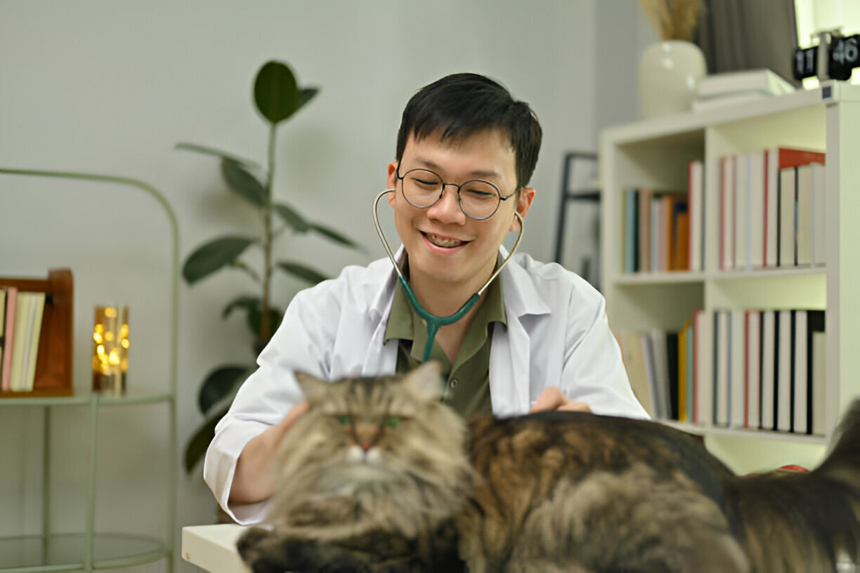 Is a Veterinarian a Doctor? Understanding Their Medical Role